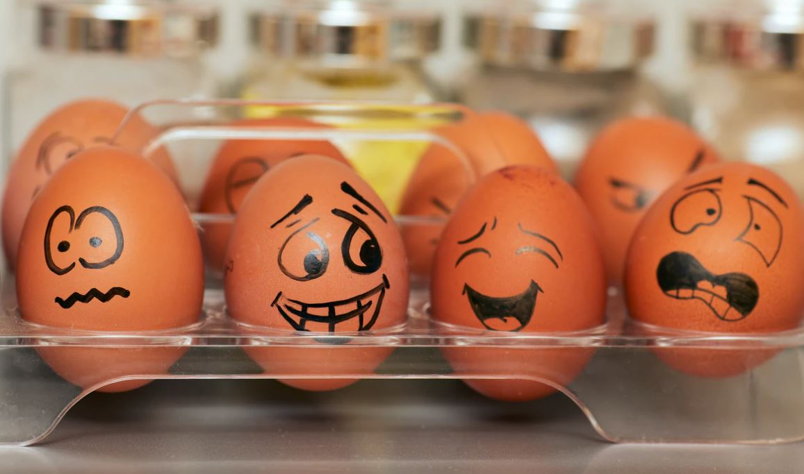 The Upholder, Obliger, Questioner, & Rebel: Explained | Shortform Books