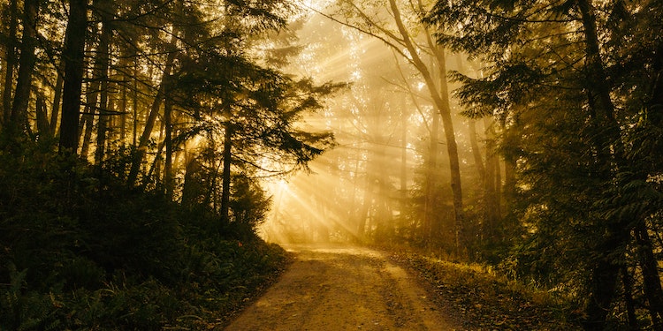 The Toltec Path to Enlightenment: A Quest for Freedom | Shortform Books