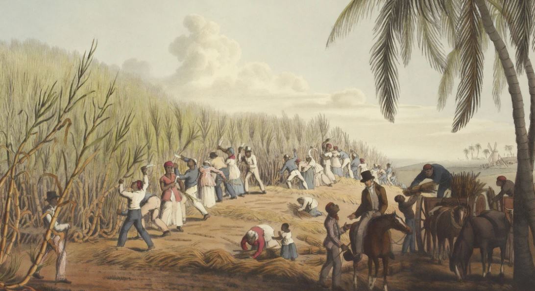 The History of the Caste System in America | Shortform Books