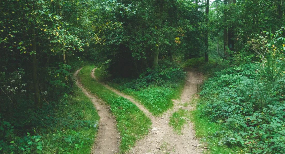 The 3 Reasons to Prioritize Short-Term Objectives | Shortform Books