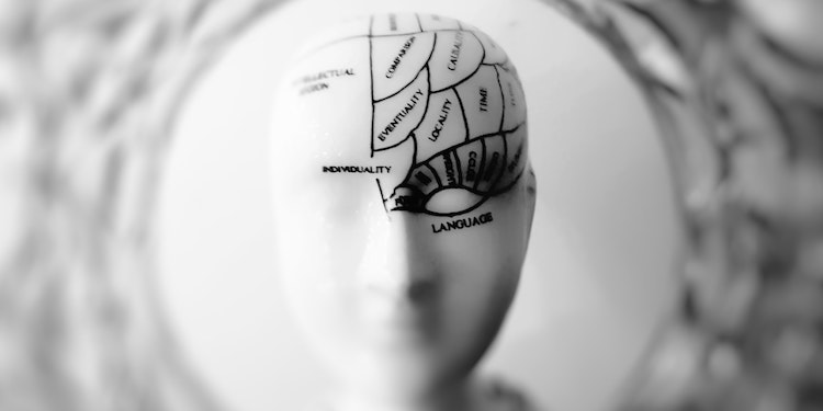 How People Learn: Insights Into Thinking and Memory | Shortform Books