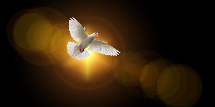 Christian Pacifism and Contrasting Perspectives | Shortform Books