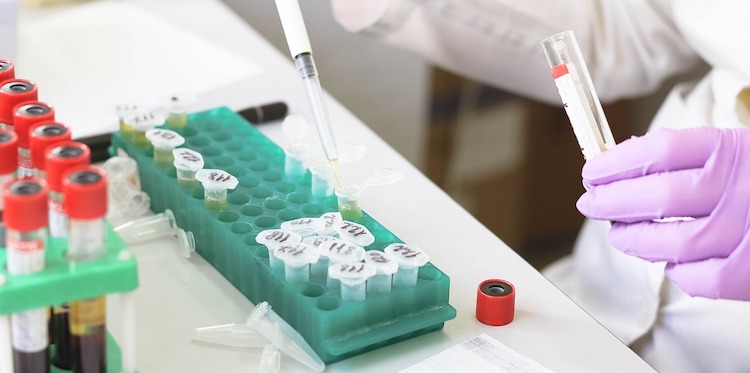 What Makes a Good Theory? 3 Traits It Must Have | Shortform Books