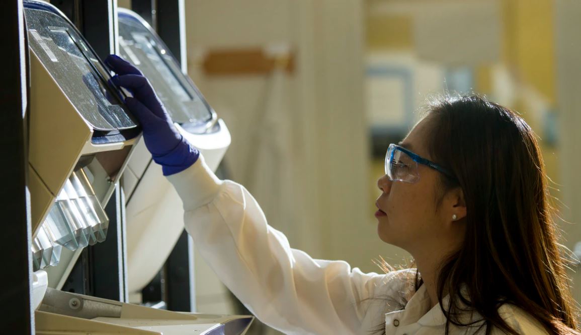 Germline Editing: Legal Status and Ethical Implications | Shortform Books