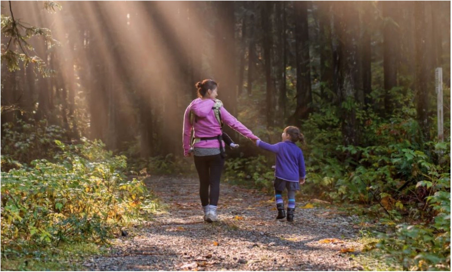 6 Ways to Promote Autonomy in Early Childhood | Shortform Books