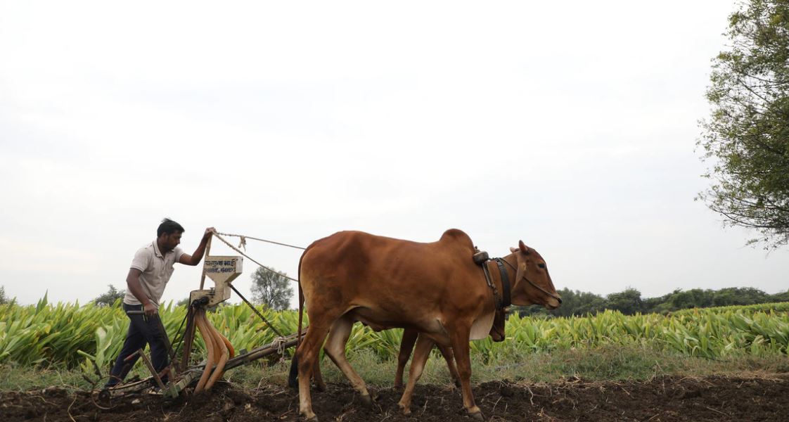 Environmental Colonialism: The Human Cost of Climate Activism ...