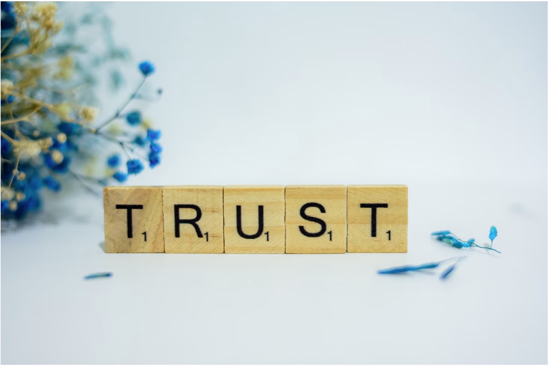 The Importance of Trust in a Relationship | Shortform Books