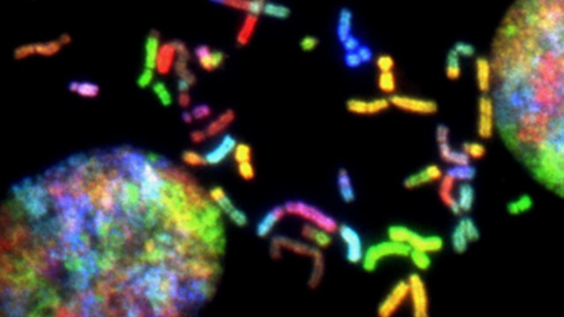 Siddhartha Mukherjee: Tracing the History of Genetics | Shortform Books