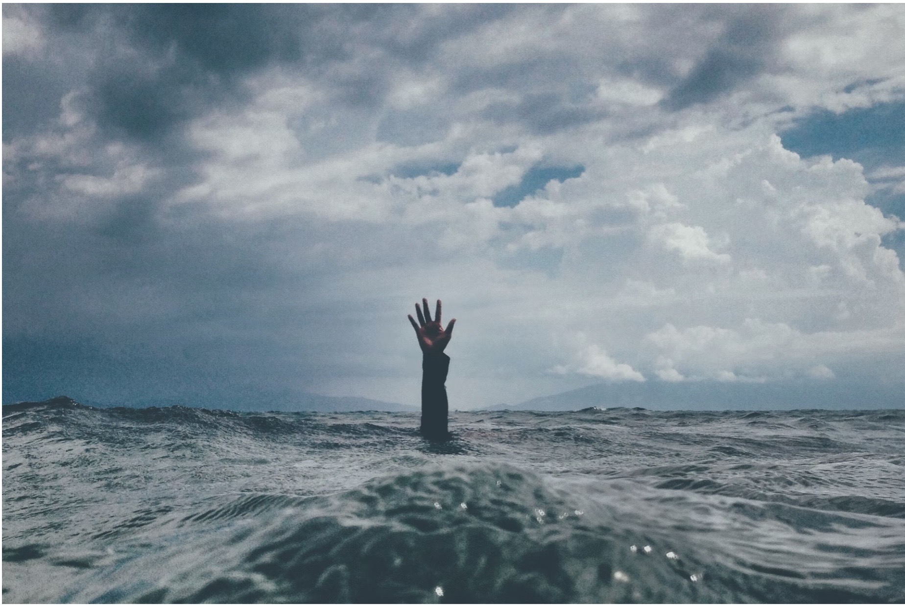 Martin Seligman: Learned Helplessness Leads to Depression | Shortform Books