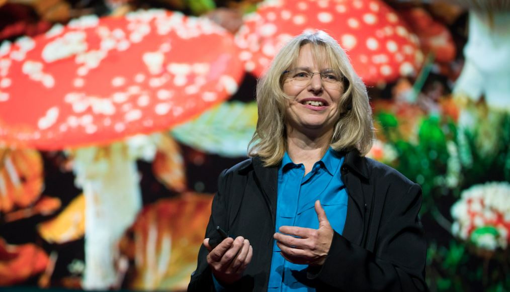 Suzanne Simard: Biography and Career | Shortform Books