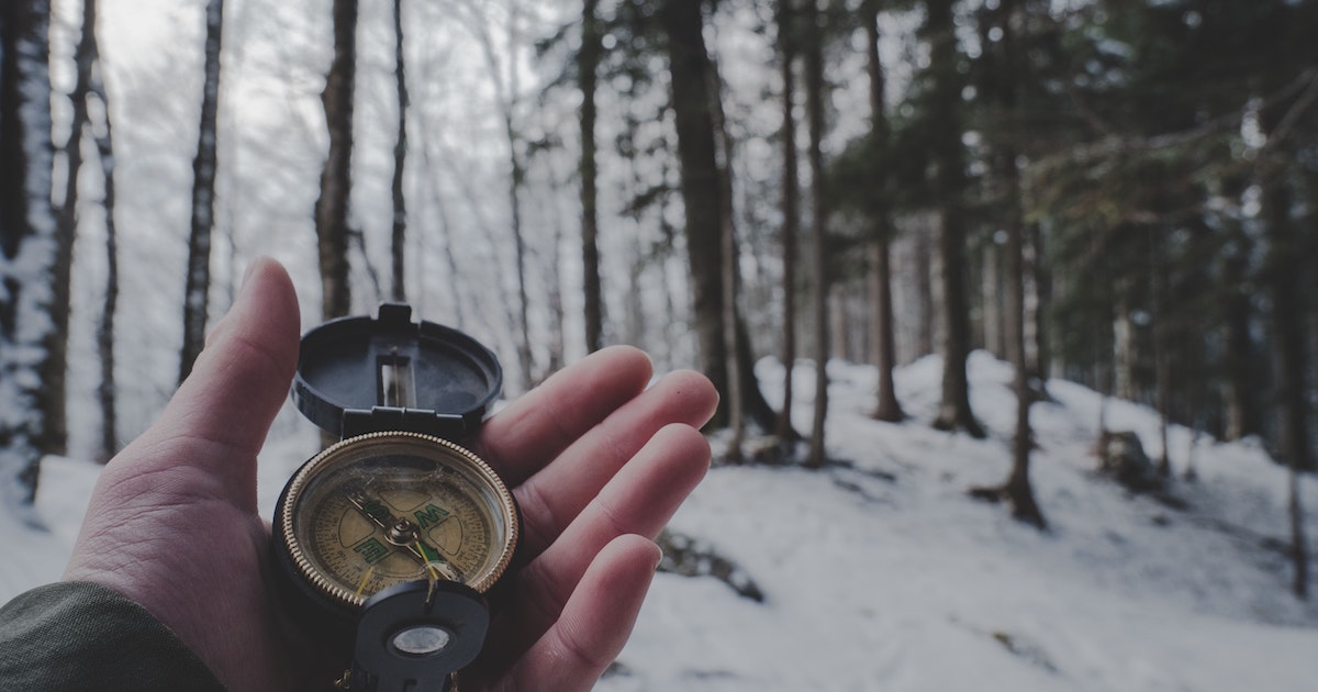 Find Your Place in the World—With Help From Biology & Physics ...