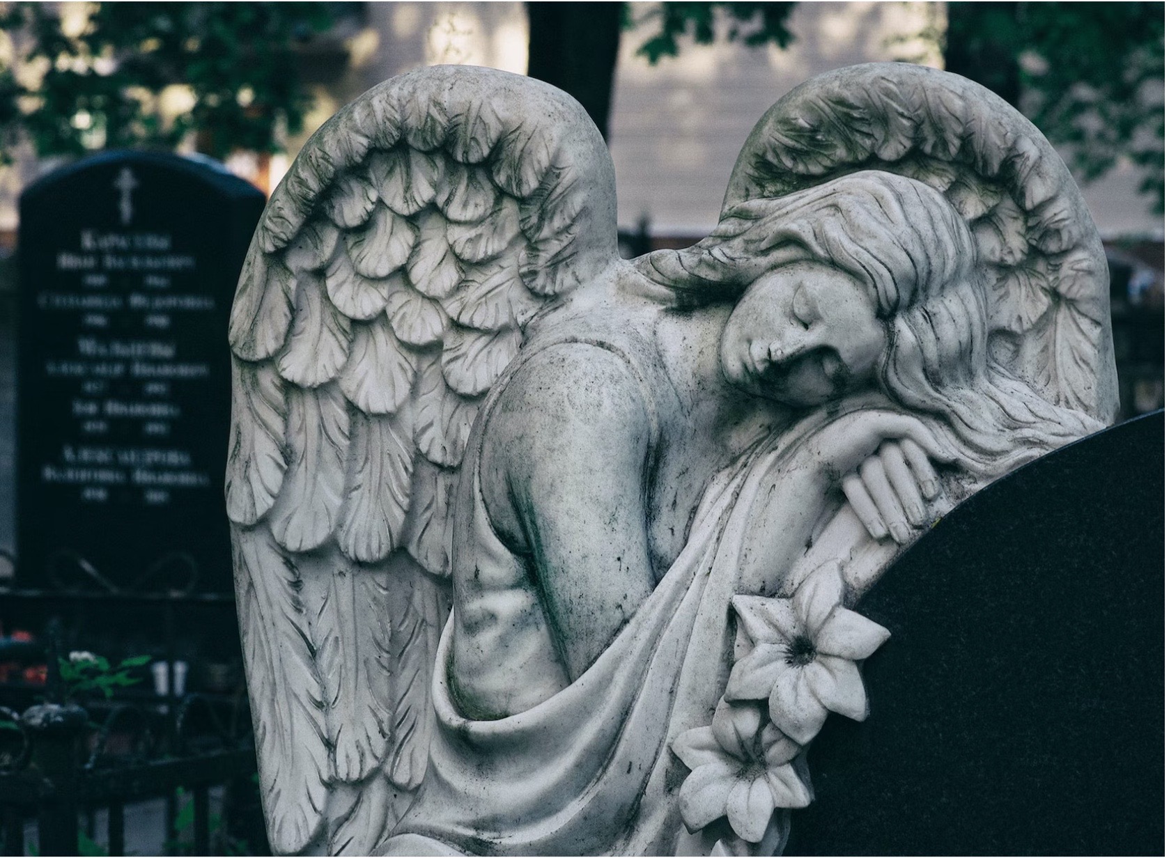 Death Is a Natural Part of Life—And That's a Happy Thought | Shortform ...