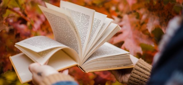 Unleash the Power of Storytelling: Book Overview & Takeaways ...