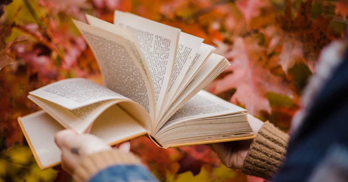 Unleash the Power of Storytelling: Book Overview & Takeaways ...