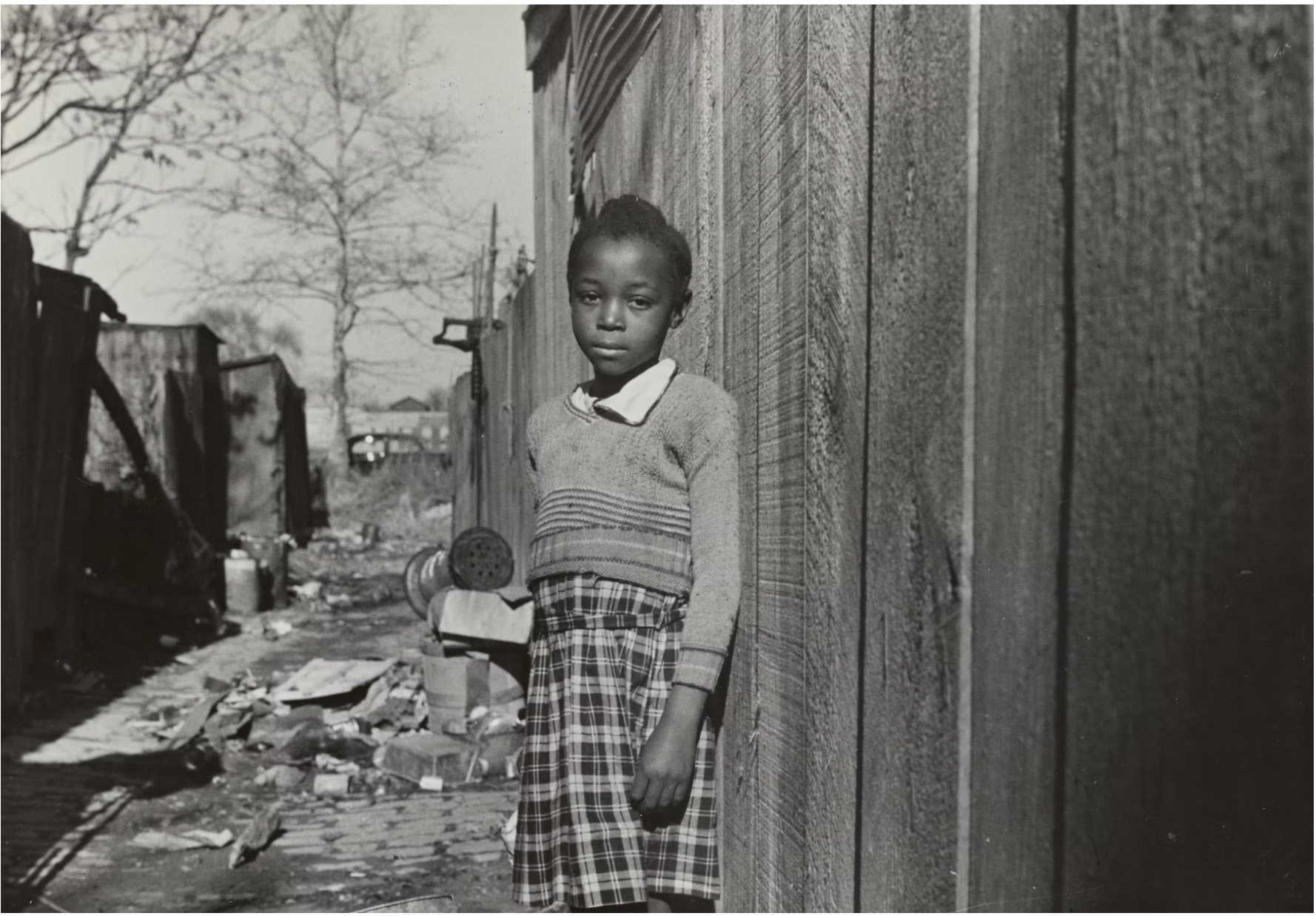 How the Cycle of Oppression Shaped 1950s America | Shortform Books