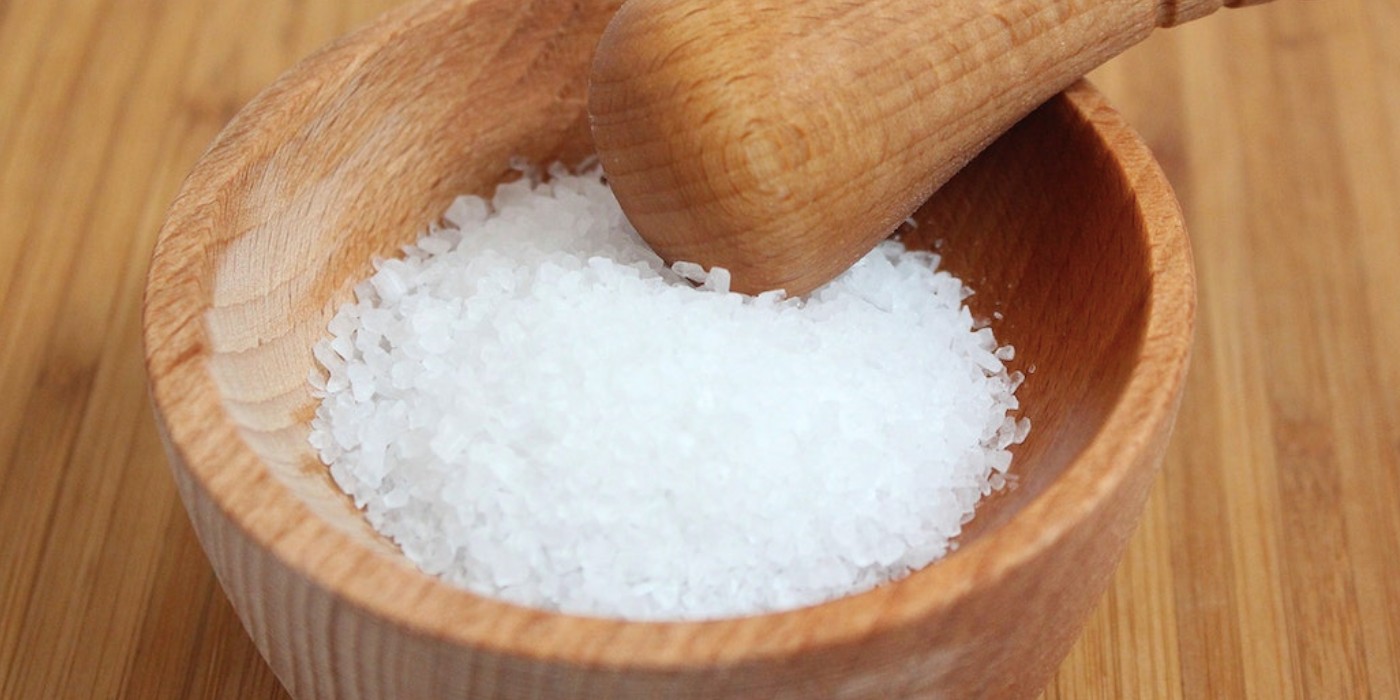 The Importance of Salt for Human Survival | Shortform Books