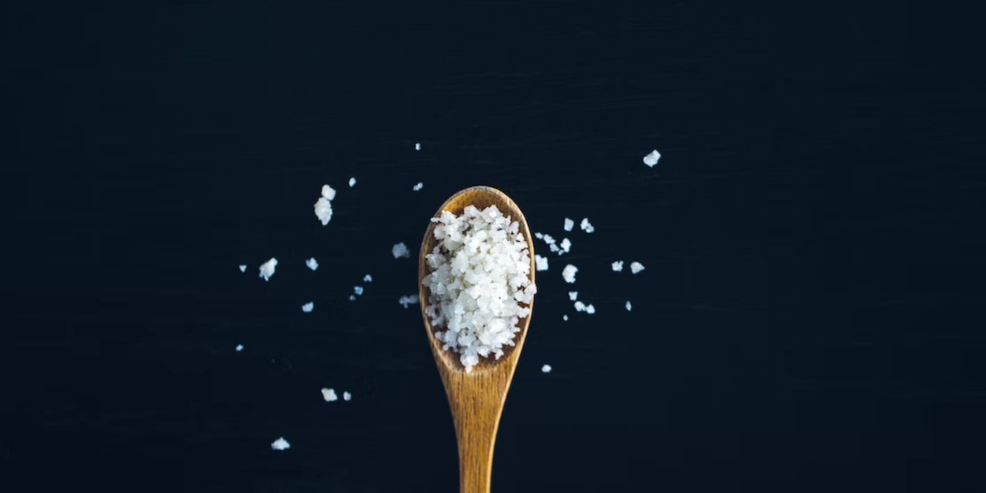Why Is Salt So Valuable? Looking Back at the Salt Trade | Shortform Books