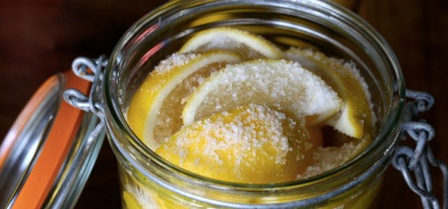 Salting Food Preservation: Examples and Methods - Shortform Books