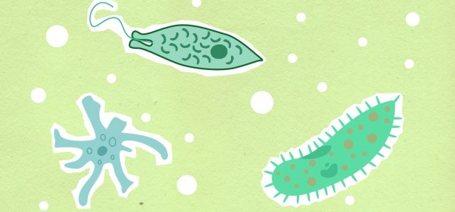 I Contain Multitudes by Ed Yong: Book Overview - Shortform Books