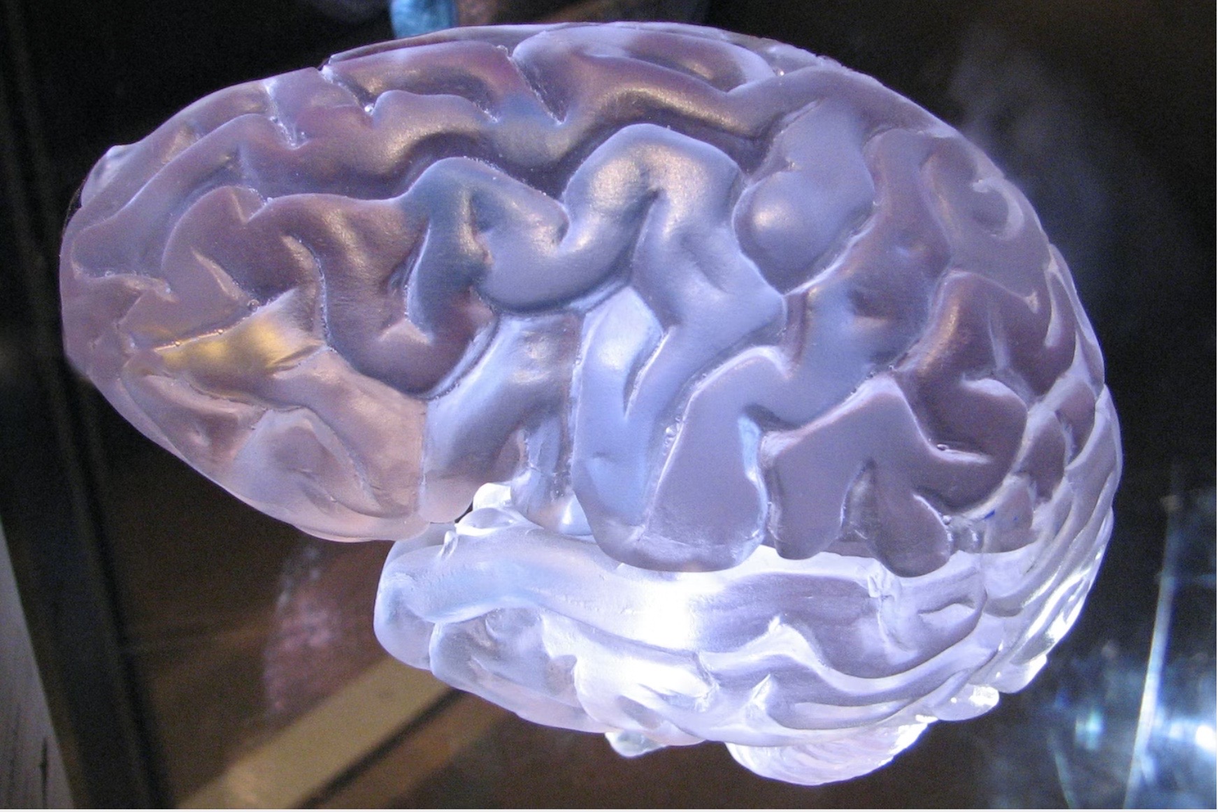 Brain Coupling The Key To Efficient Teamwork Shortform Books