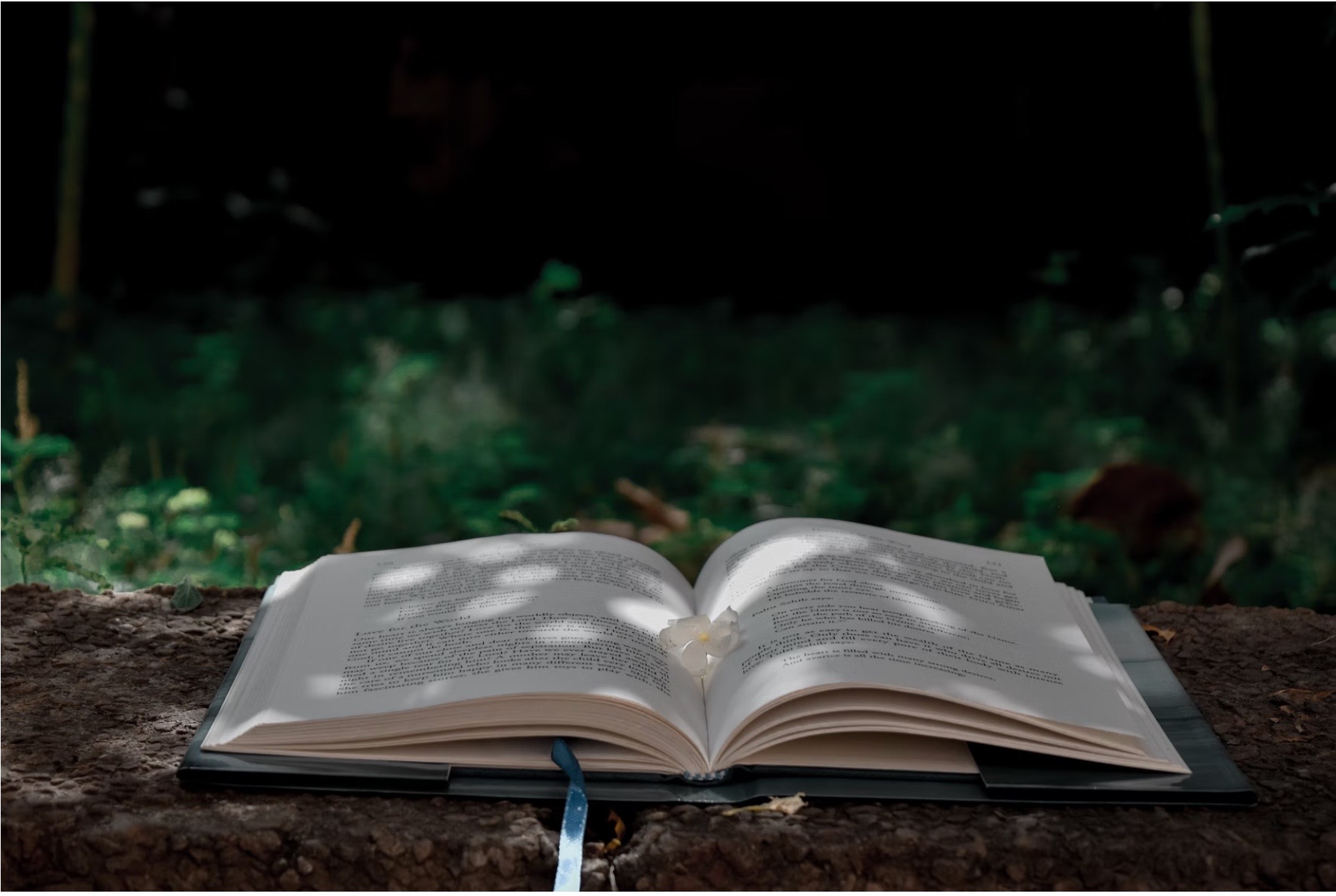 The Power of Regret: Quotes to Help You Live Your Best Life | Shortform ...