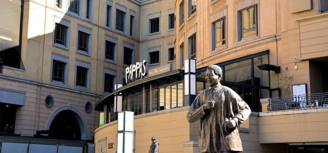 Why Did Nelson Mandela Join the African National Congress? - Shortform ...