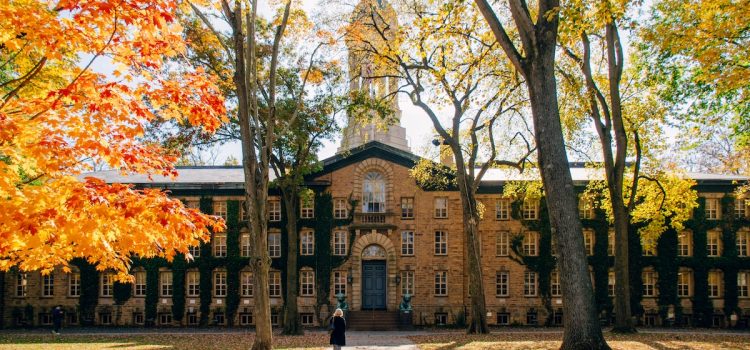 Richard Feynman's Education: From MIT to Princeton | Shortform Books Richard Feynman's Education: From MIT to Princeton | Shortform Books