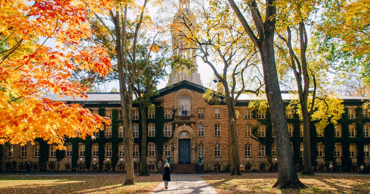 Richard Feynman's Education: From MIT to Princeton | Shortform Books