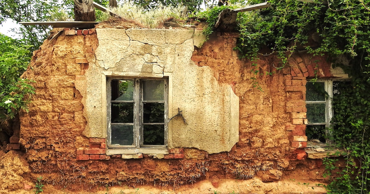 The Earth After Humans: Alan Weisman's Thought Experiment | Shortform Books