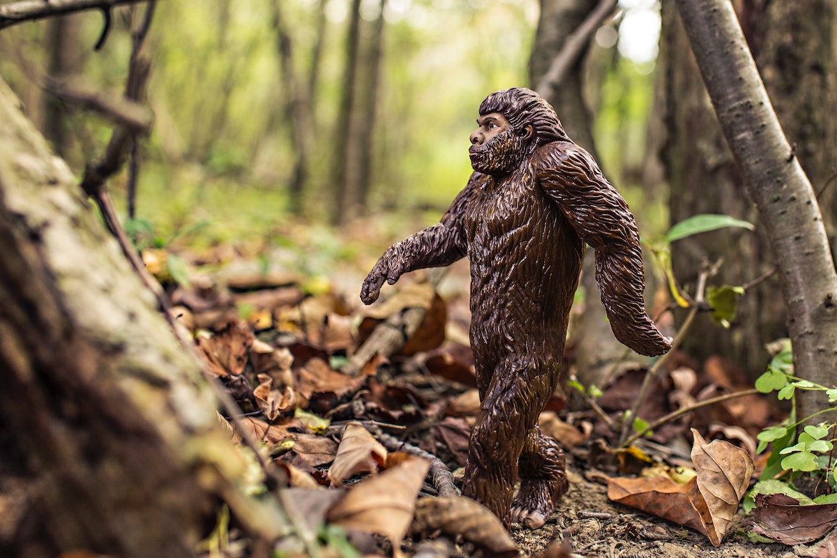 Why Aren’t There More Transitional Species? Darwin Explains | Shortform ...