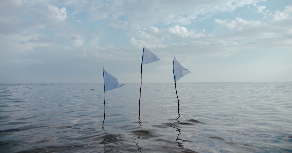 How to Avoid the Sunk Cost Fallacy: Why Quitting Is for Winners ...