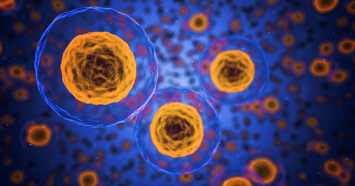 The First Cells on Earth: A Biochemist Goes Back in Time | Shortform Books