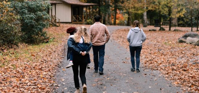 Beyond the Pumpkin Patch: 10 Fun Family Activities for Fall - Shortform ...