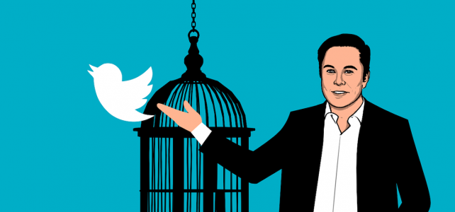 Twitter Under Elon Musk: The Rocky Road From "Twitter" to "X ...
