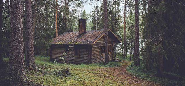 Henry David Thoreau’s Cabin at Walden Pond: A Forest Refuge - Shortform ...