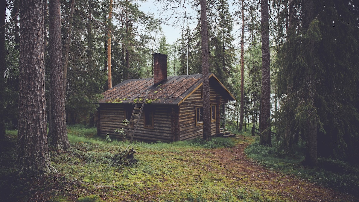 Henry David Thoreau’s Cabin at Walden Pond: A Forest Refuge | Shortform ...