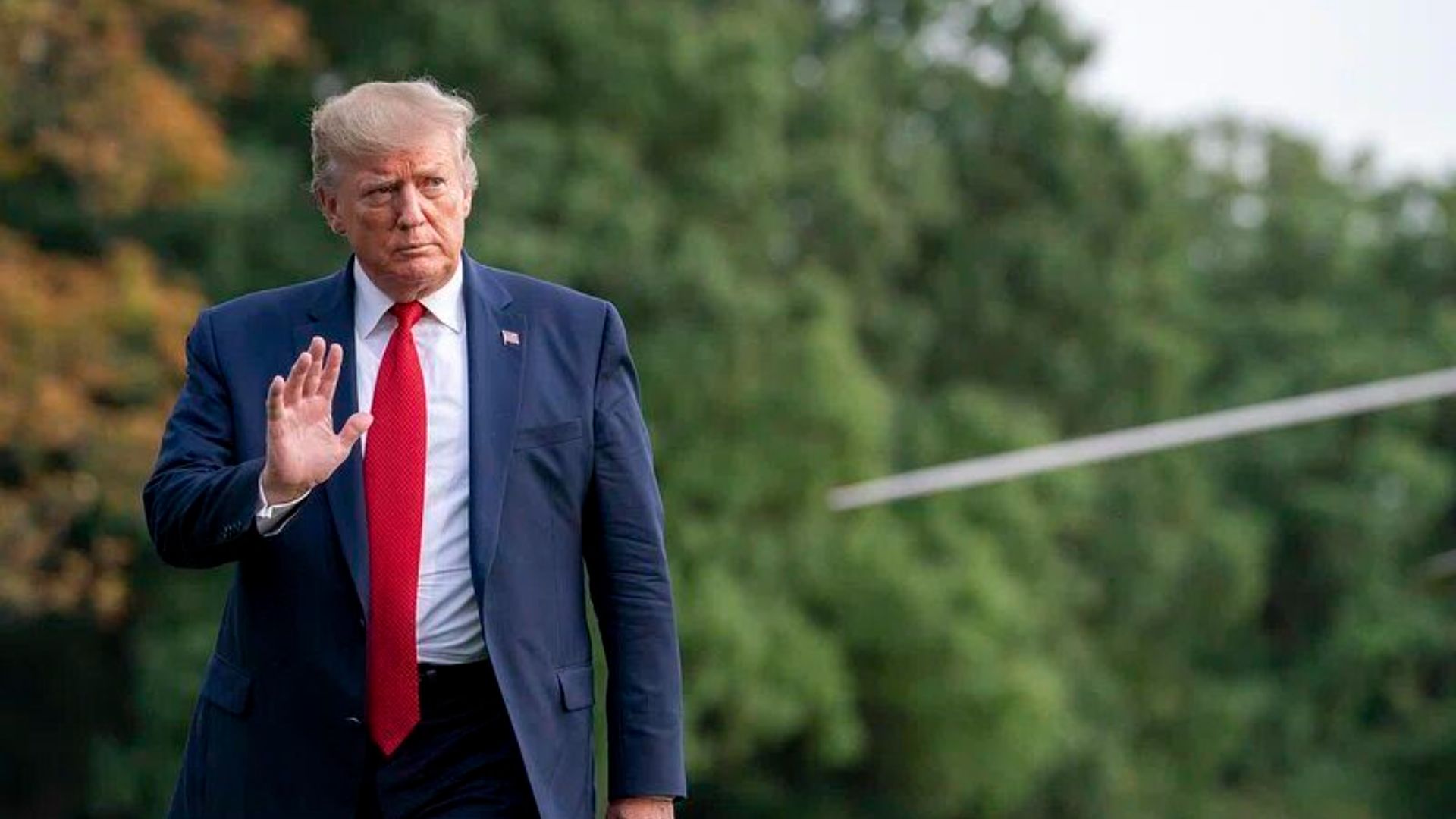 The Trump Presidency Timeline: From 2016 to 2020 | Shortform Books